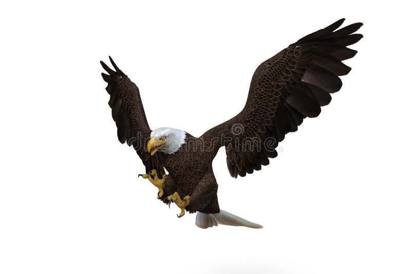Bald Eagle with Wings Spread. 3d Illustration Isolated on White ...