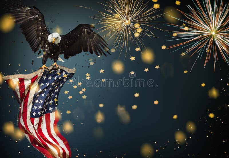 Bald Eagle Flying with American Flag Stock Photo - Image of feast ...
