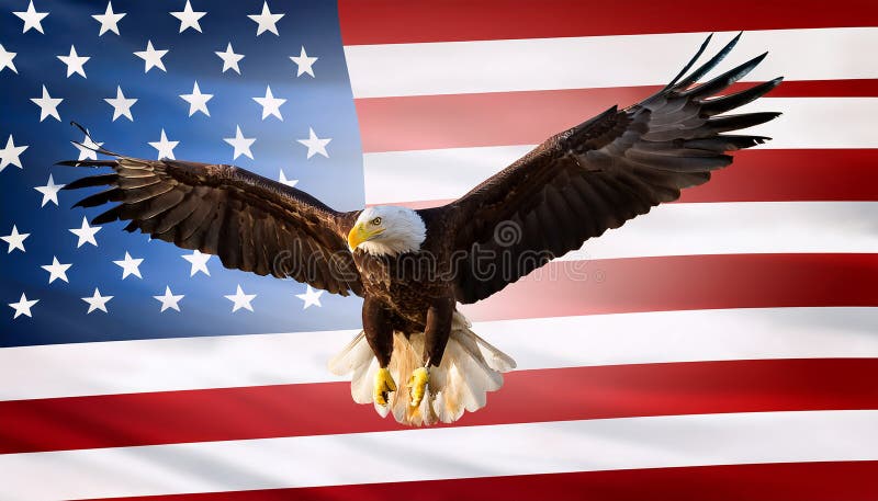 Bald Eagle Flying in Front of the American Flag with Motion Look Stock ...
