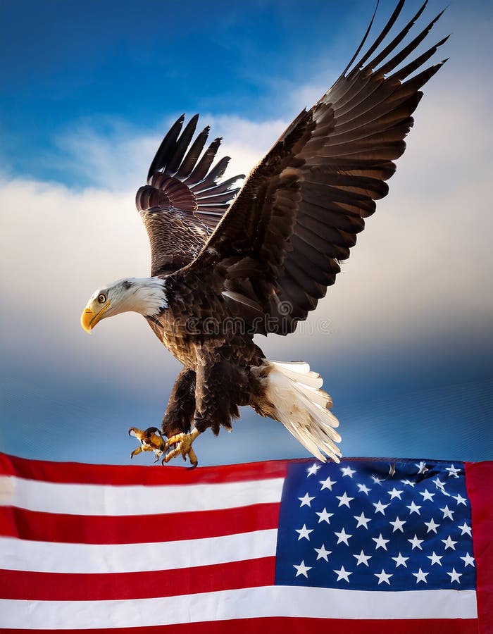 Bald Eagle Flying in Front of the American Flag with Motion Look Stock ...