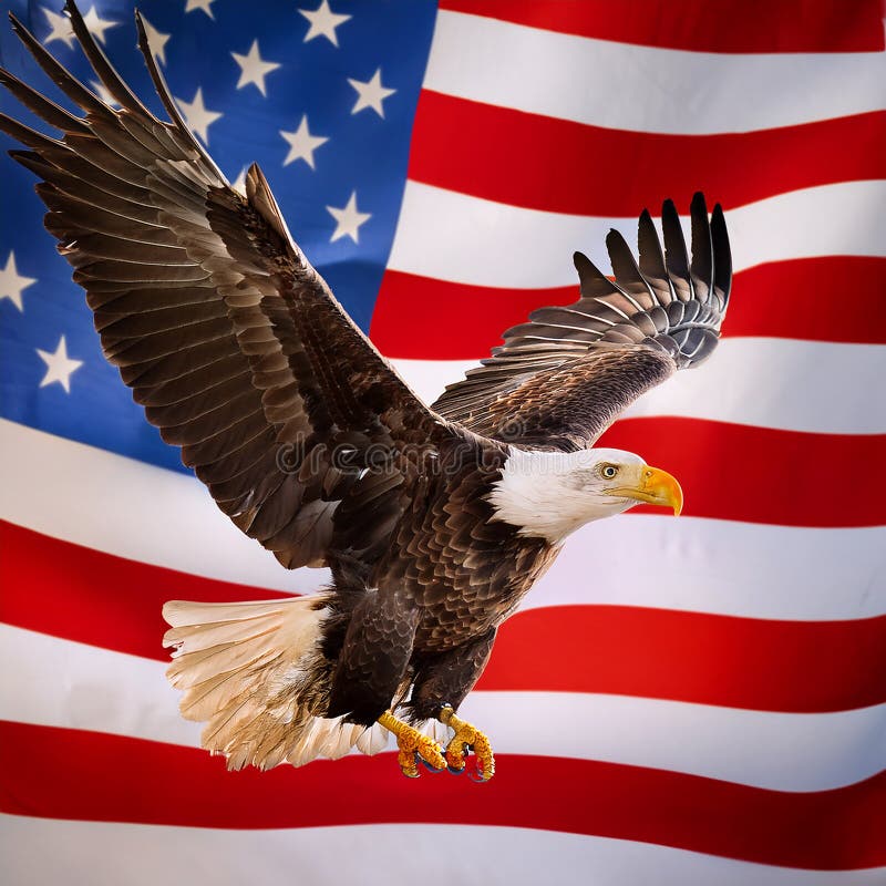 Bald Eagle Flying in Front of the American Flag with Motion Look Stock ...