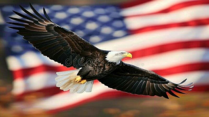 A Bald Eagle Flying Over a Red, White, and Blue American Flag Stock ...