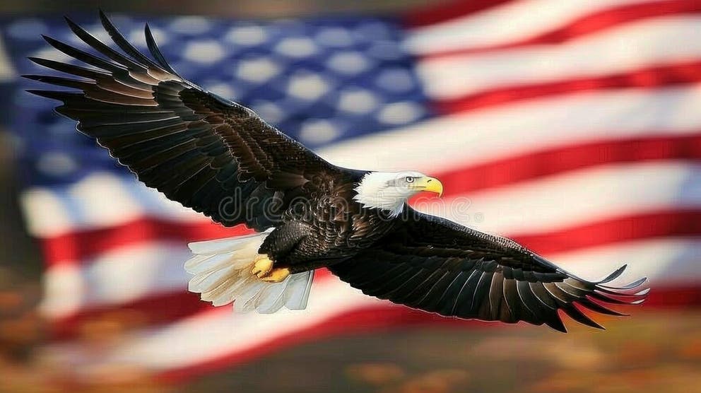 A Bald Eagle Flying Over a Red, White, and Blue American Flag Stock ...