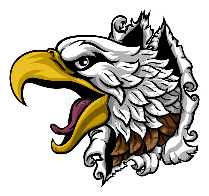 Eagel Head Stock Illustrations – 67 Eagel Head Stock Illustrations ...