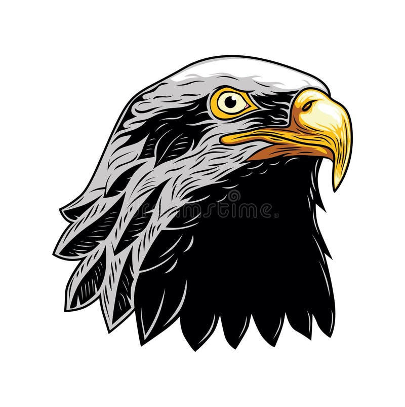 Charming Bald Eagle Vector Pictures