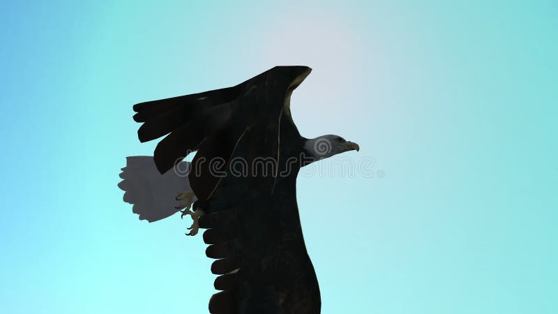 Bald Eagle Flying 2D Animation Stock Footage - Video of wildlife, prey ...