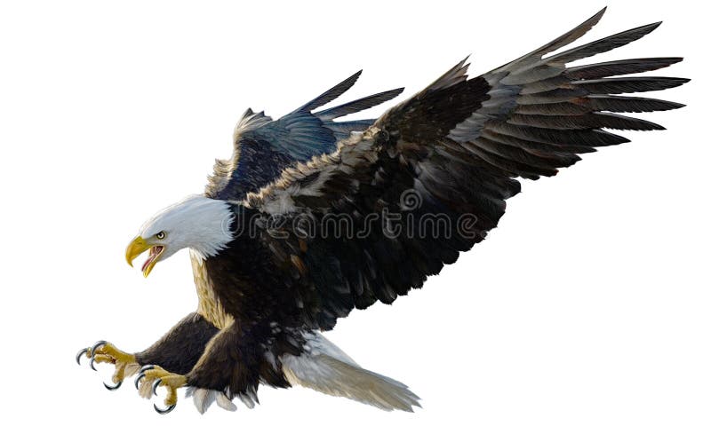 Eagle attack color art stock image. Image of rift, flight - 80023975