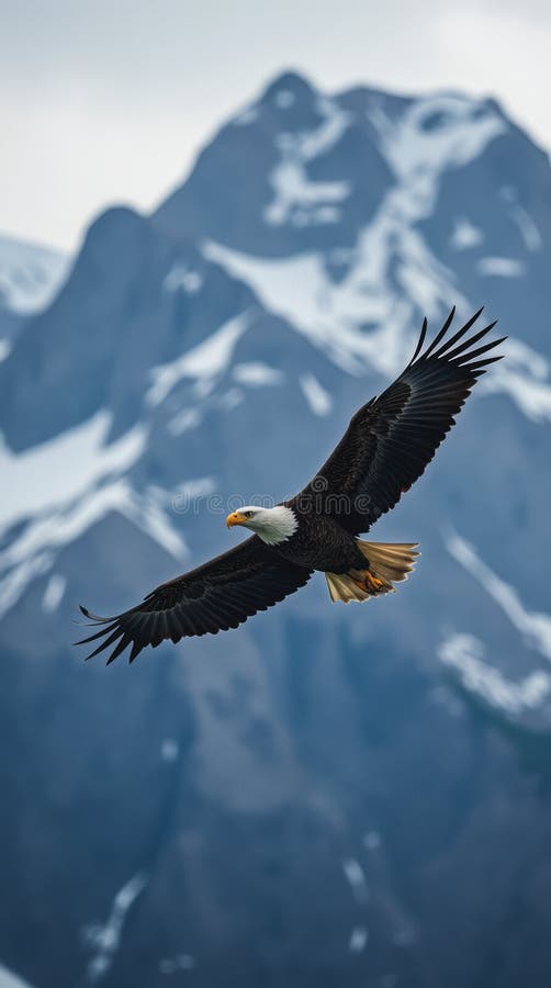 Bald Eagle Mid-Flight with Its Wings Fully Extended, Every Feather ...