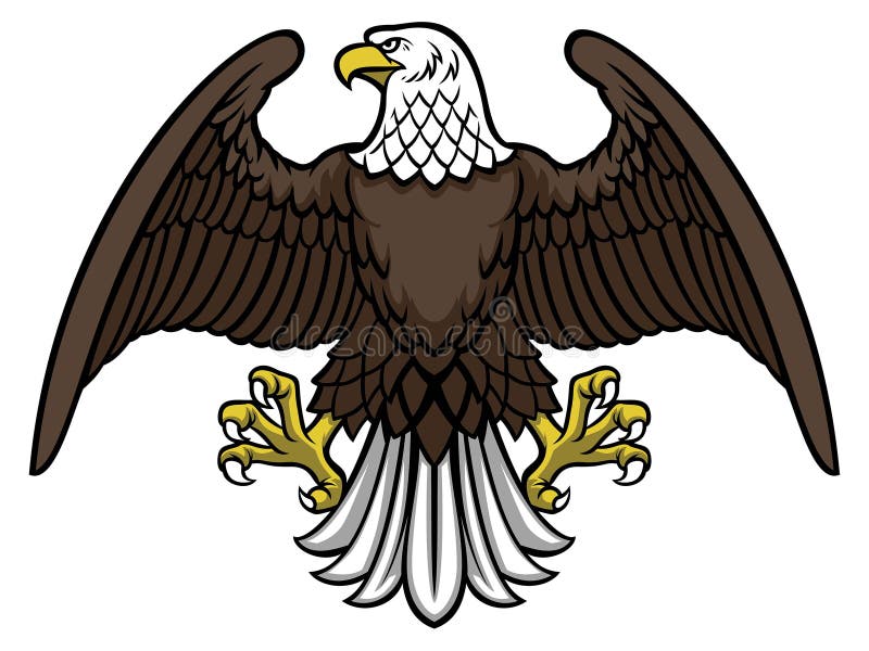 Diagram Of Bald Eagle Wing