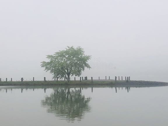 133 Penn State Cat Logo Stock Photos - Free & Royalty-Free Stock Photos ...