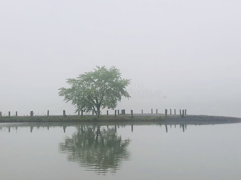 133 Penn State Cat Logo Stock Photos - Free & Royalty-Free Stock Photos ...