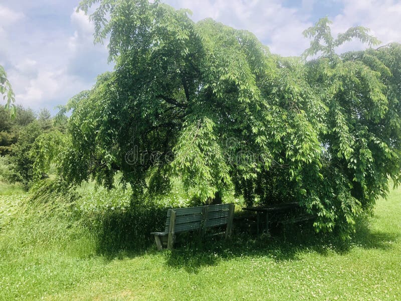 324 Tom Tudek Park Stock Photos - Free & Royalty-Free Stock Photos from ...