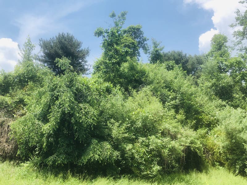 324 Tom Tudek Park Stock Photos - Free & Royalty-Free Stock Photos from ...