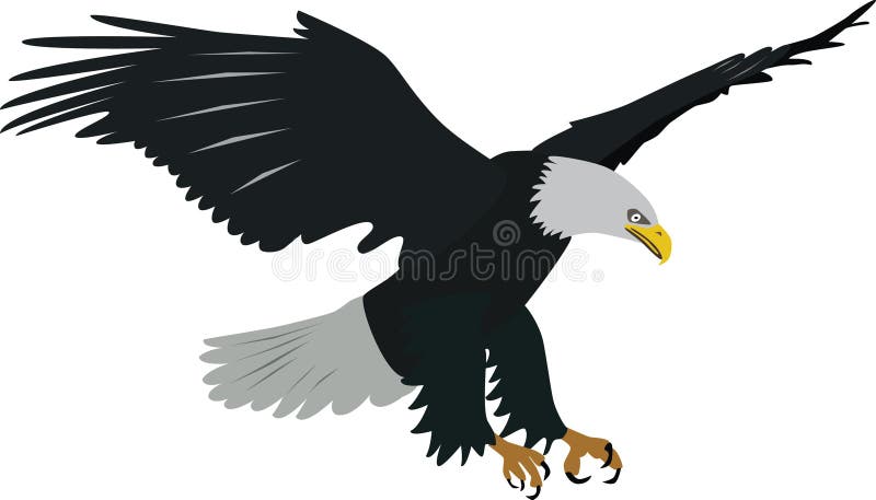Charming Bald Eagle Vector Pictures