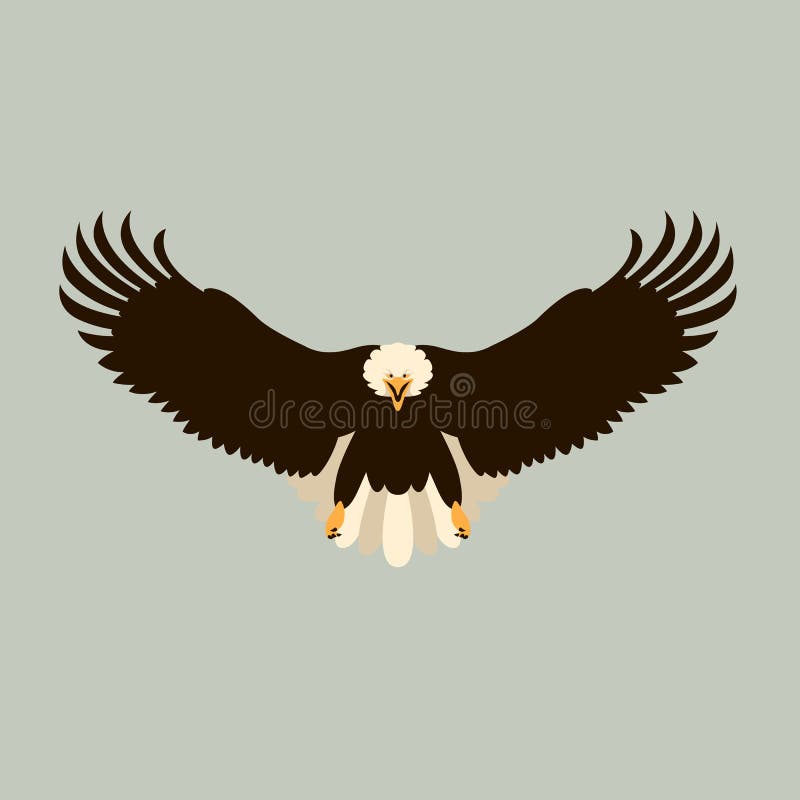 Bald Eagle Vector Illustration Style Flat Stock Vector - Illustration ...