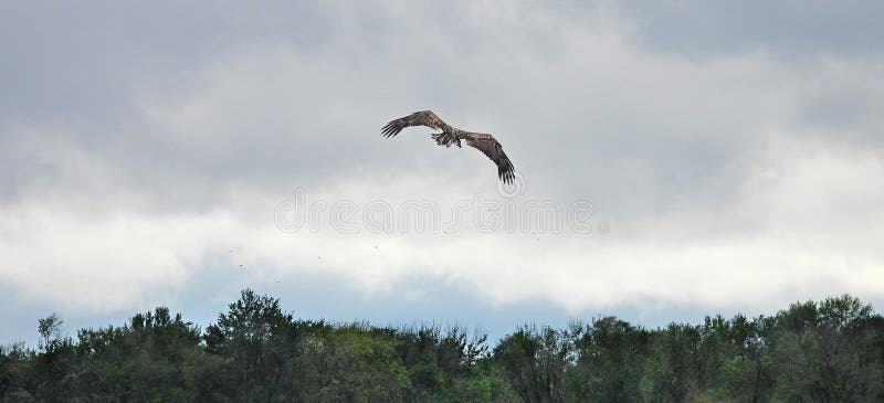 5 11 Inches To Feet Stock Photos - Free & Royalty-Free Stock Photos ...