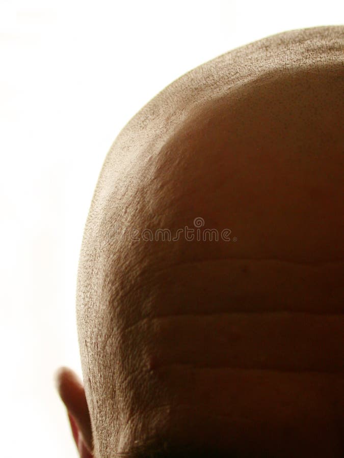 Bald man head stock image. Image of human, indicating - 23975861