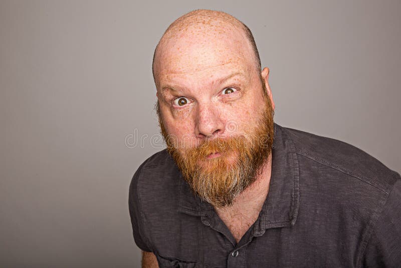 Bald man with beard stock image. Image of handsome, hairless - 47605655
