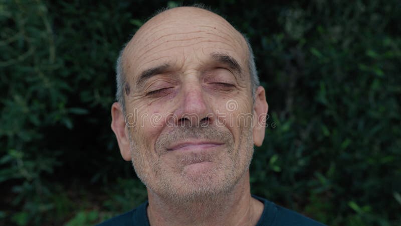 Bald Man with Happy Smile Under a Tree in the Evening Stock Footage ...