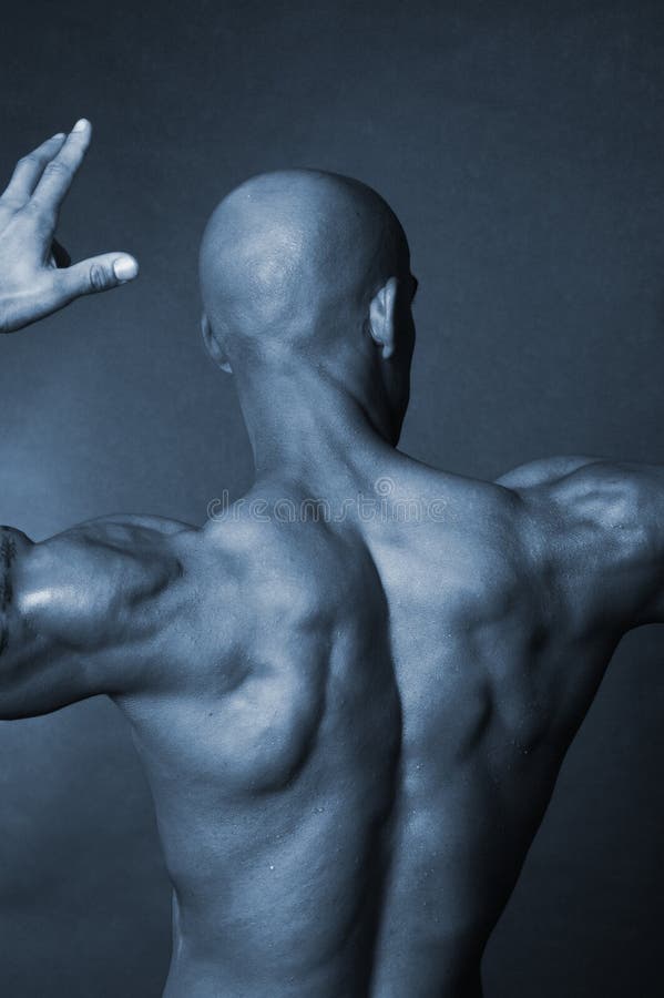 Handsome bald man stock image. Image of buff, bald, diesel - 1056361