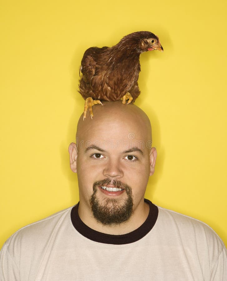 5+ Bald chicken Free Stock Photos - StockFreeImages