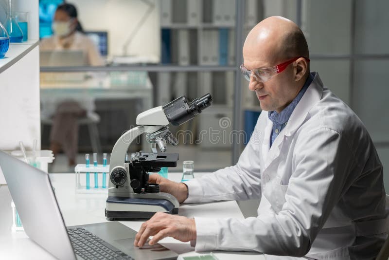 Bald Mature Chemist Entering Scientific Data in Computer while Using ...