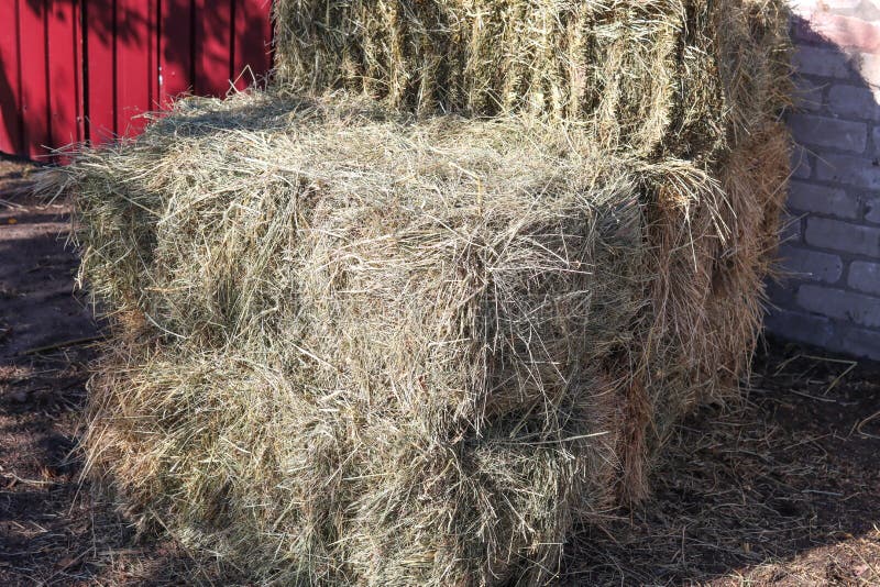 Bale of hay, animal feed stock photo. Image of prairie - 200146990