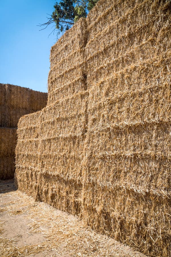 Hay Stack Wall. Straw Bales Stock Image - Image of ranch, grass: 133930783