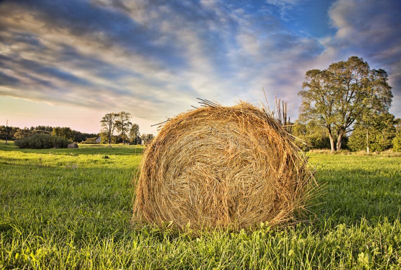 Haystack hay straw stock image. Image of bale, gold, meadow - 6343035