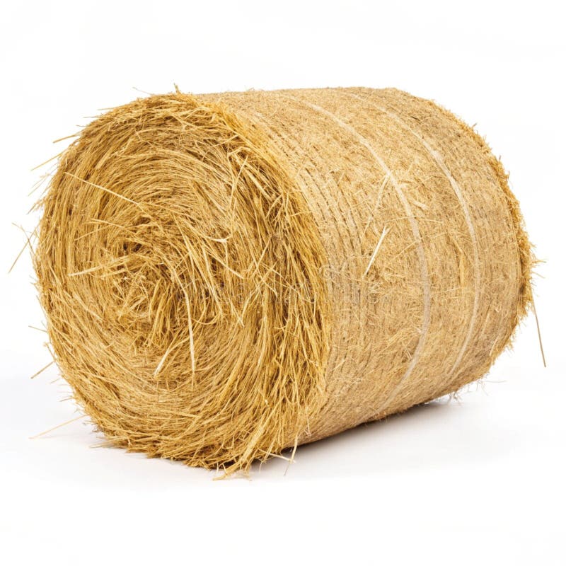 Bale of Hay Isolated on White Background Stock Illustration ...