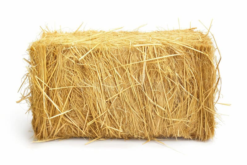 Bale of Hay Isolated on White Background Stock Image - Image of country ...