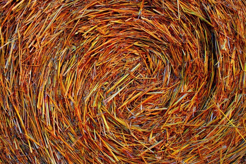 Bale of hay stock photo. Image of quiet, straw, sunset - 33398776