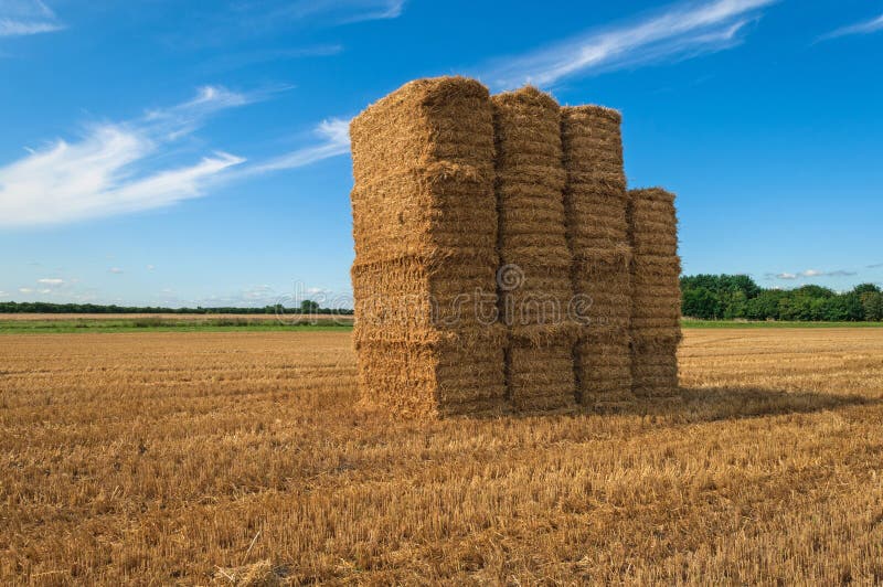Bale of Hay Straw,Blue Sky stock image. Image of environment - 48713151