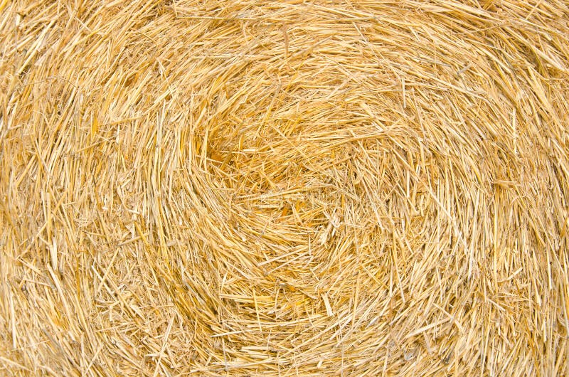 Bale roll straw texture stock photo. Image of farming - 48086060
