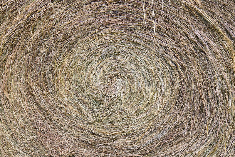 Bale Shaped Hay Texture Background Stock Photo - Image of circular ...