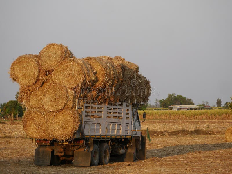 The Car is Carrying Straw in the Field Stock Image - Image of cloud ...