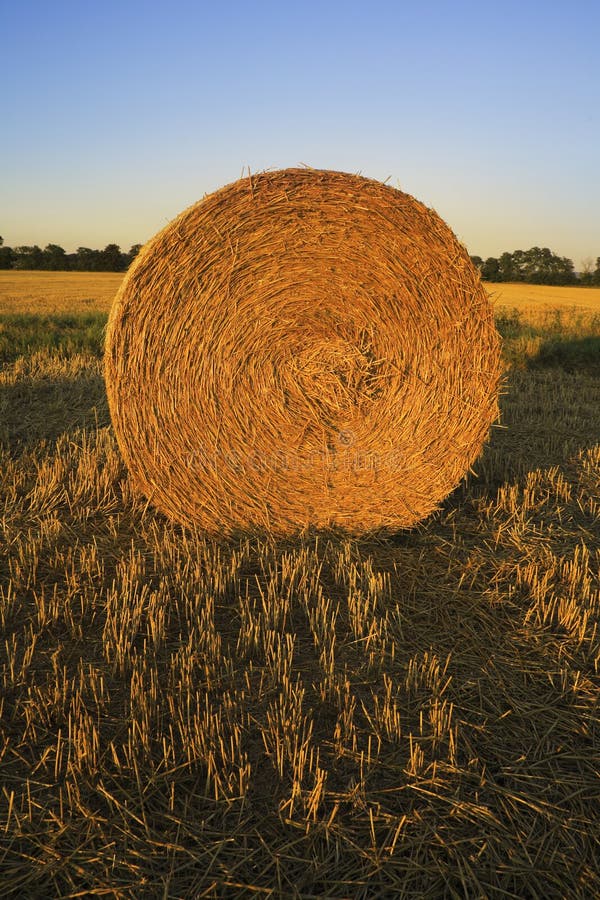 Bale of straw on field stock photo. Image of landscape - 19993554