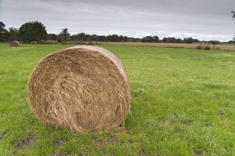 Bale of straw horizontal stock photo. Image of harvested - 12630086