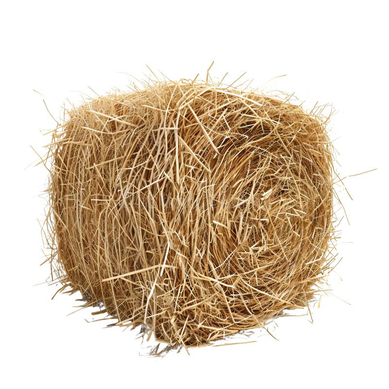 Bale of Straw on White Background Render Ultra Realistic, Generative AI ...