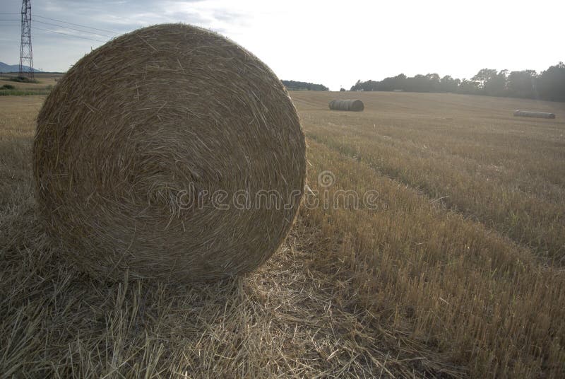 Baled fotografering för bildbyråer. Bild av land, rulle - 97280495
