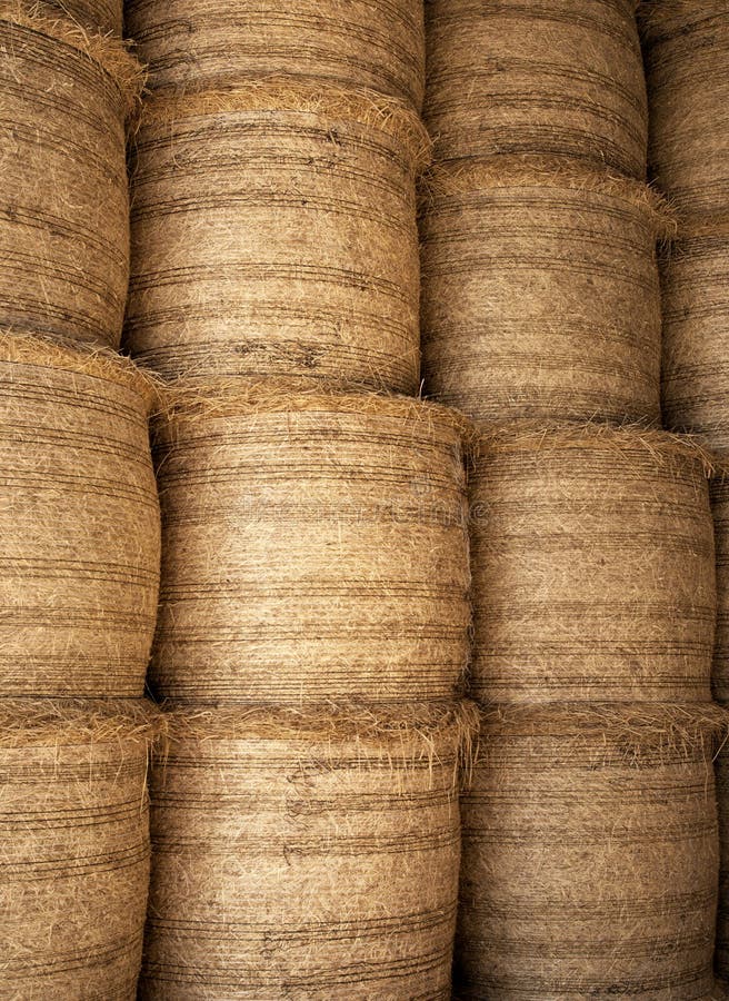 512 Baled Grass Stock Photos - Free & Royalty-Free Stock Photos from ...