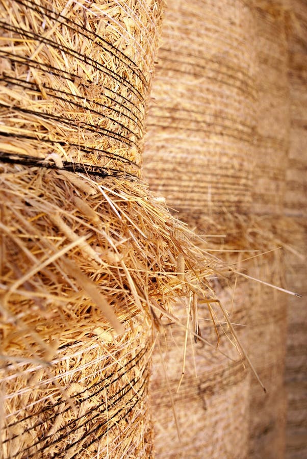 Baled hay stock image. Image of bale, roll, countryside - 25422033