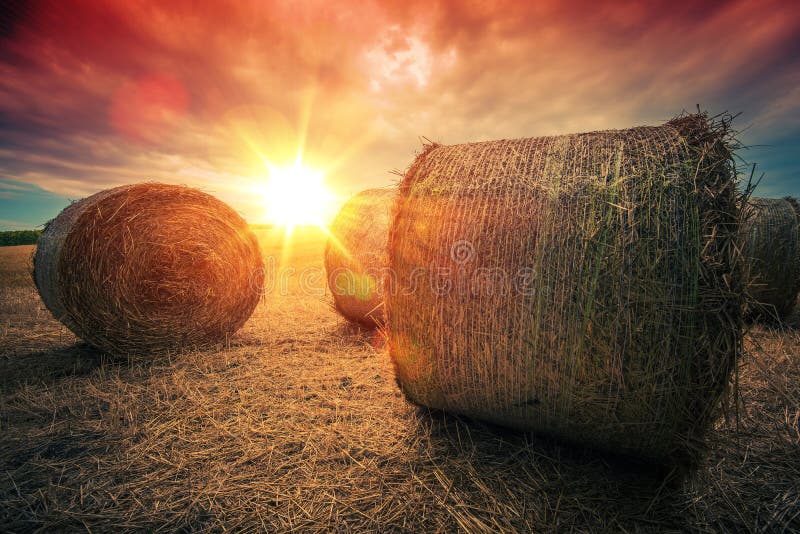 Sunset Hay Bales stock photo. Image of rural, clouds, outback - 8750334