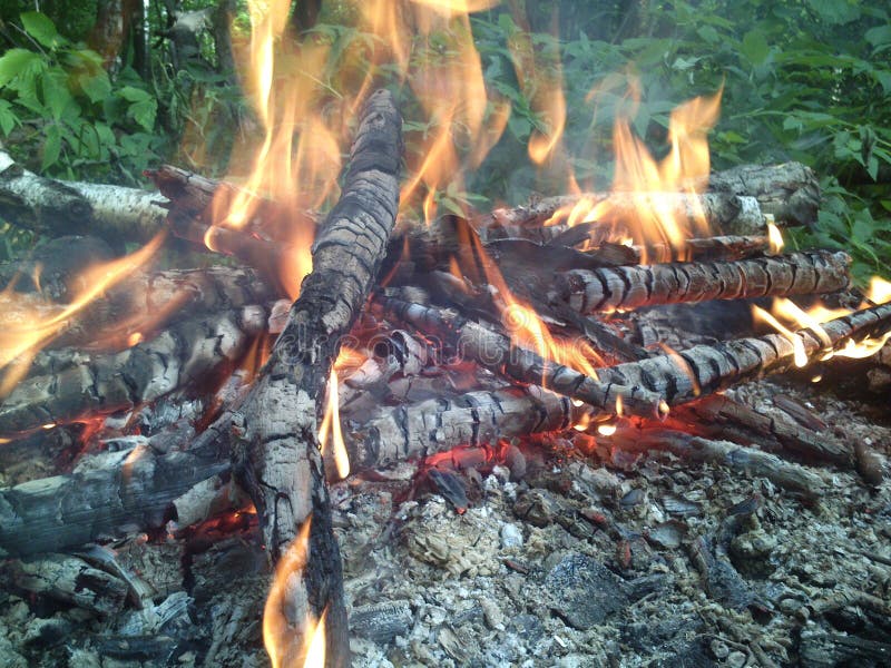 Balefire stock image. Image of meat, roast, pork, fades - 51783847