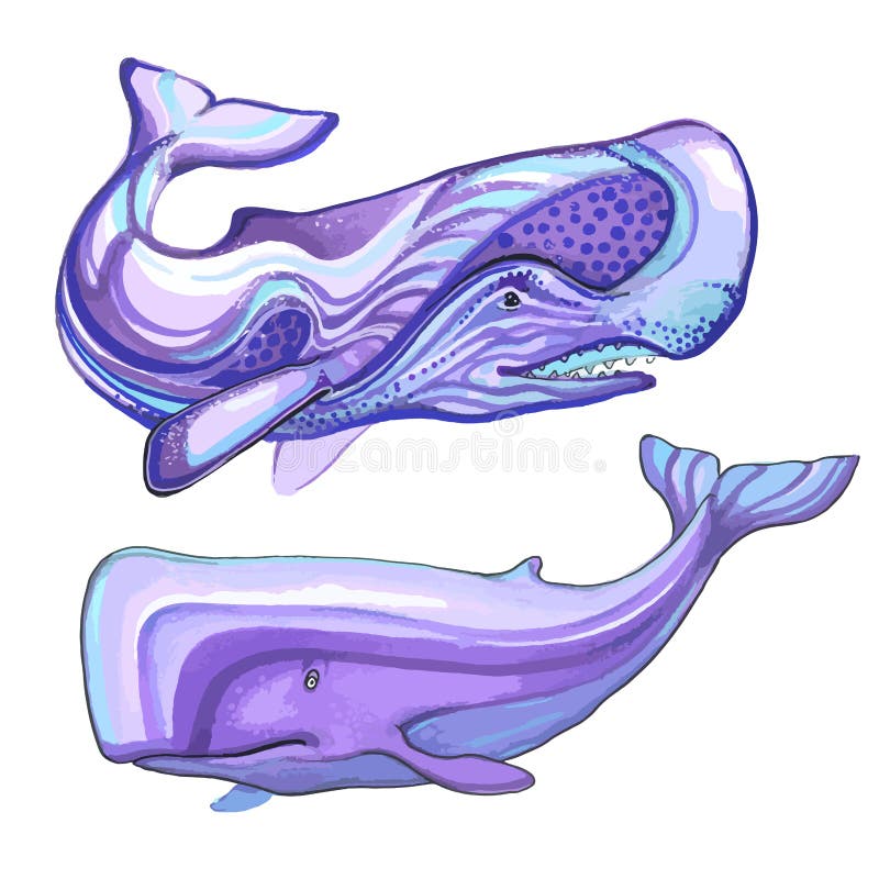 Baleine violette illustration de vecteur. Illustration du animé - 52725073