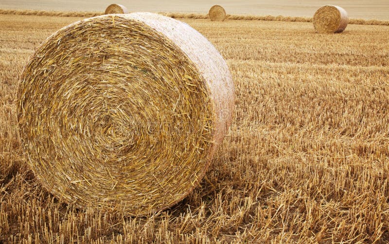 Balen van Hooi stock afbeelding. Image of bebouwd, ronde - 15686241