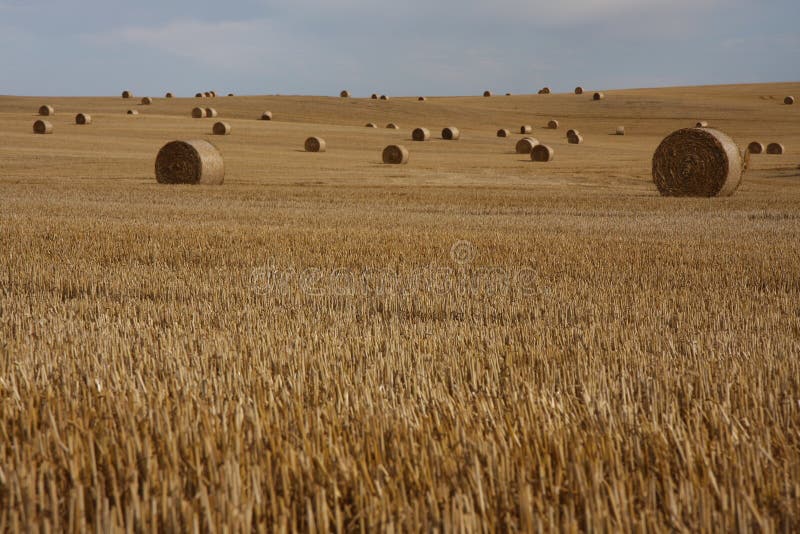 Balen van stro stock foto. Image of buiten, avond, samenvatting - 11346988