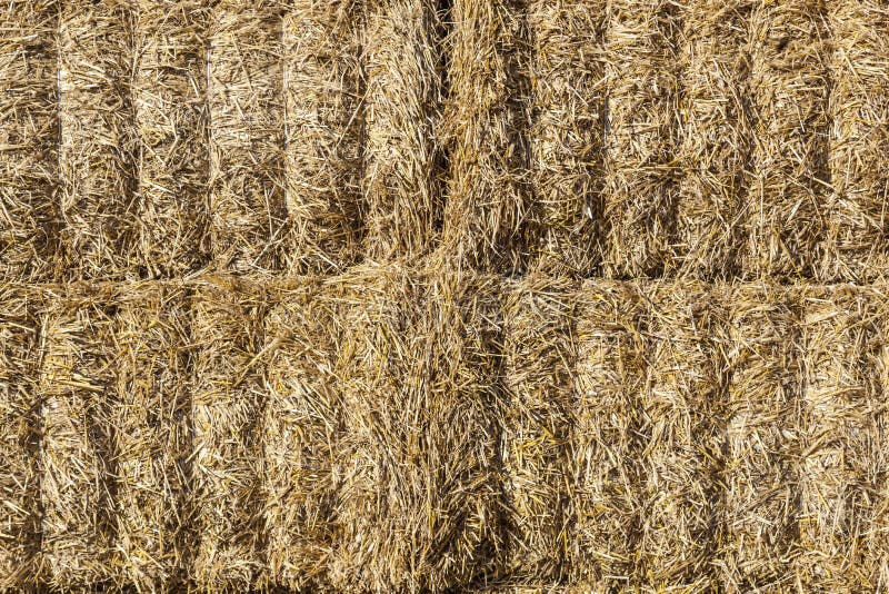 Balen van stro stock foto. Image of nietje, weide, gestapeld - 47936084