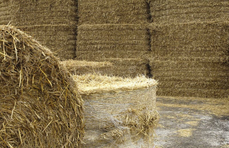 Balen Van Stro in Normandie Stock Afbeelding - Image of tarwe, baal ...