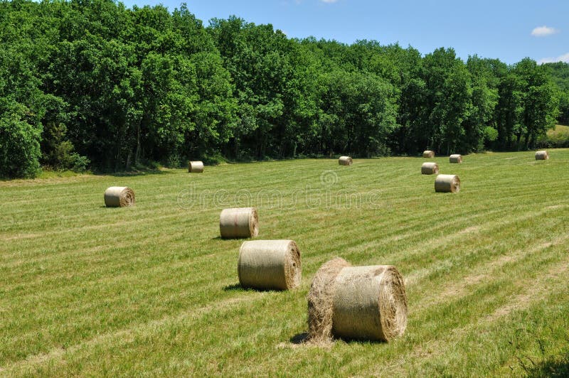Balen Van Stro Op Een Gebied in Lacave in Partij Stock Afbeelding ...